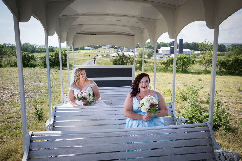 Chelsea Sun Inn Wedding