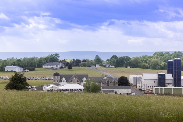 Chelsea Sun Inn Wedding